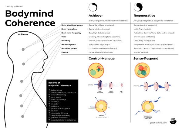 The Nature of Business | Redesigning organisations for resilience
